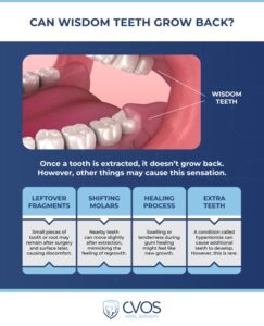 Can Wisdom Teeth Grow Back After They’ve Been Removed?